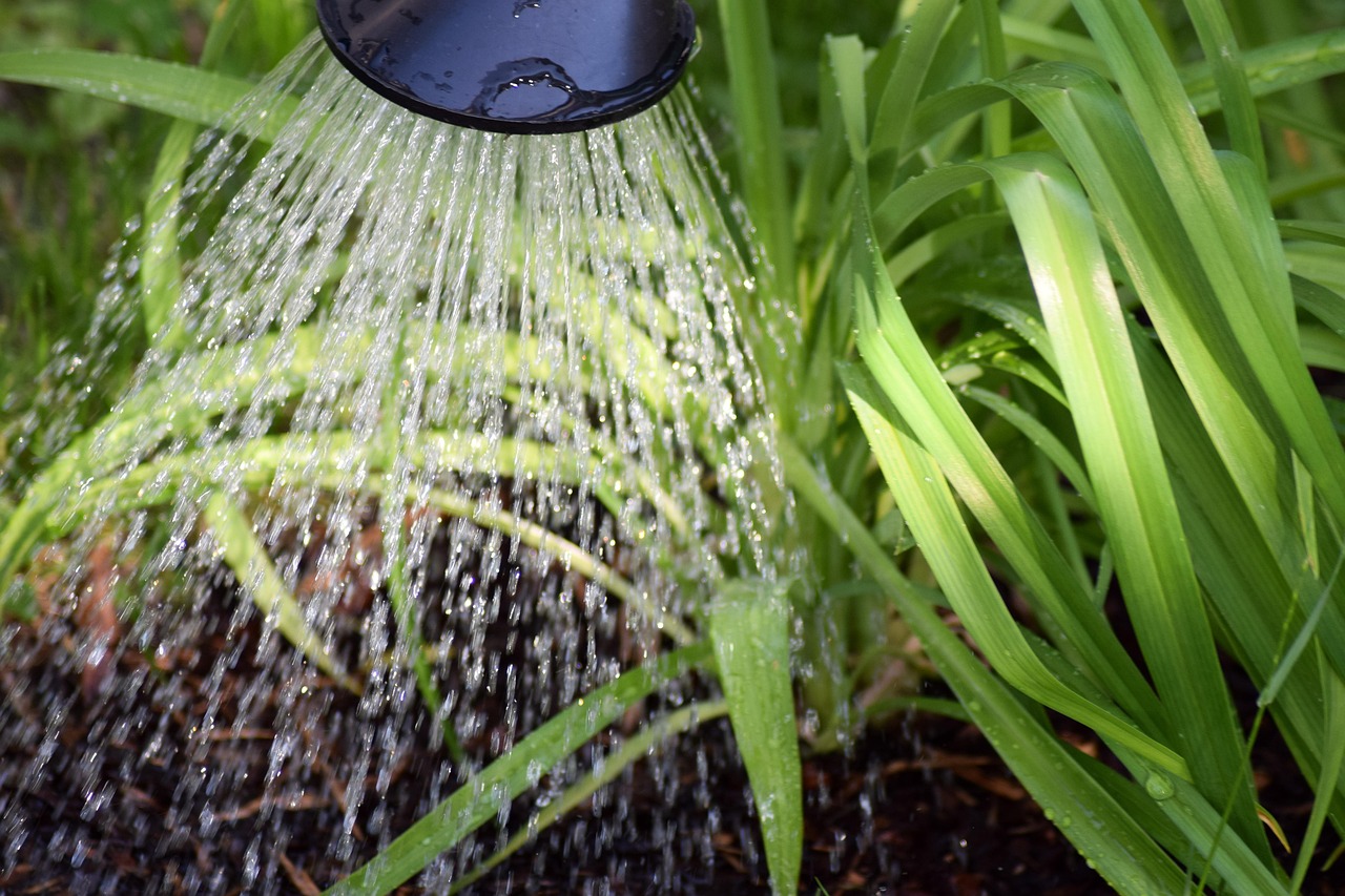 Como Regar Seu Jardim de Forma Eficiente: Um Guia Completo de Irrigação ...